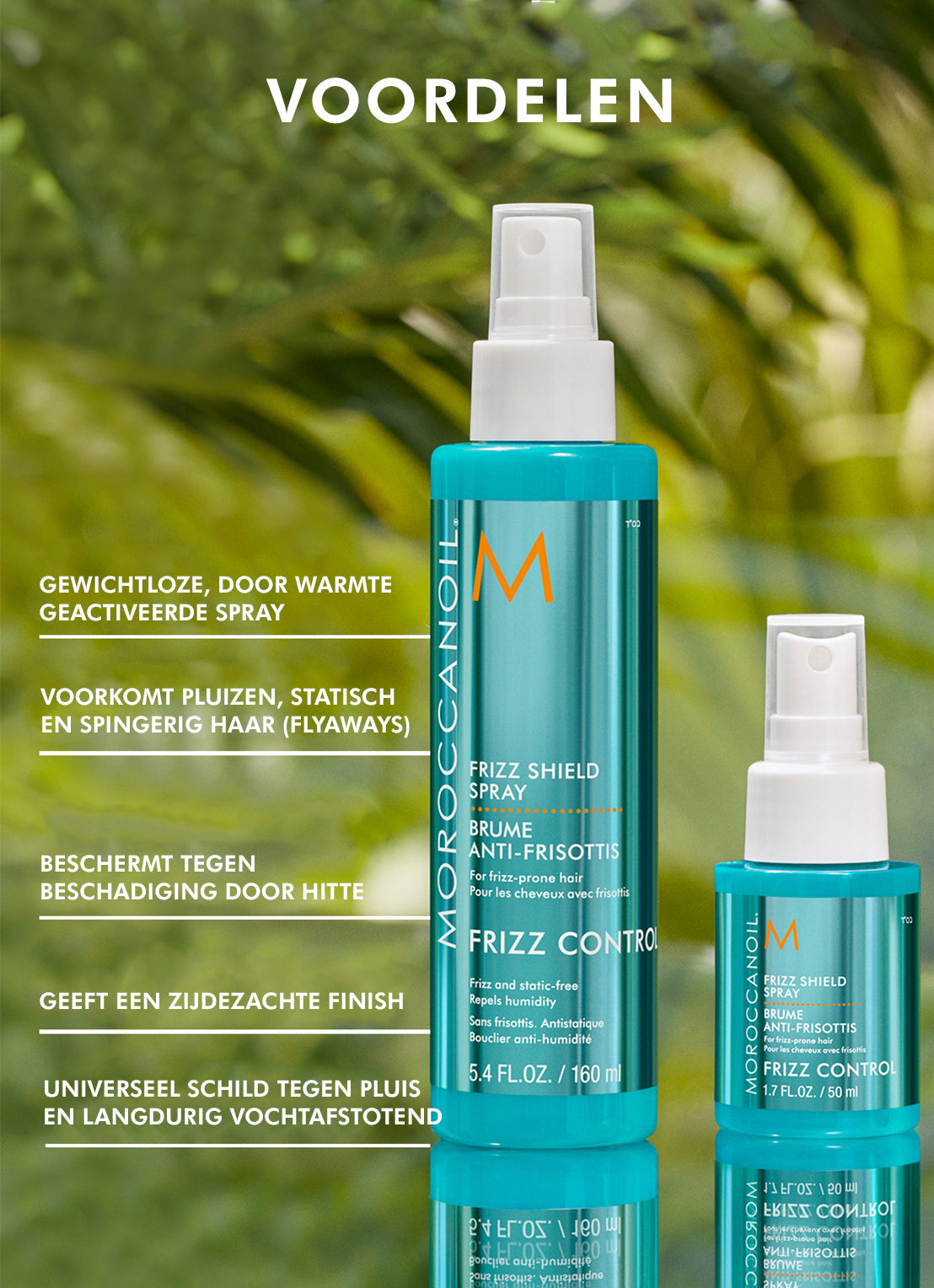 Frizz Shield Spray – Moroccanoil NL